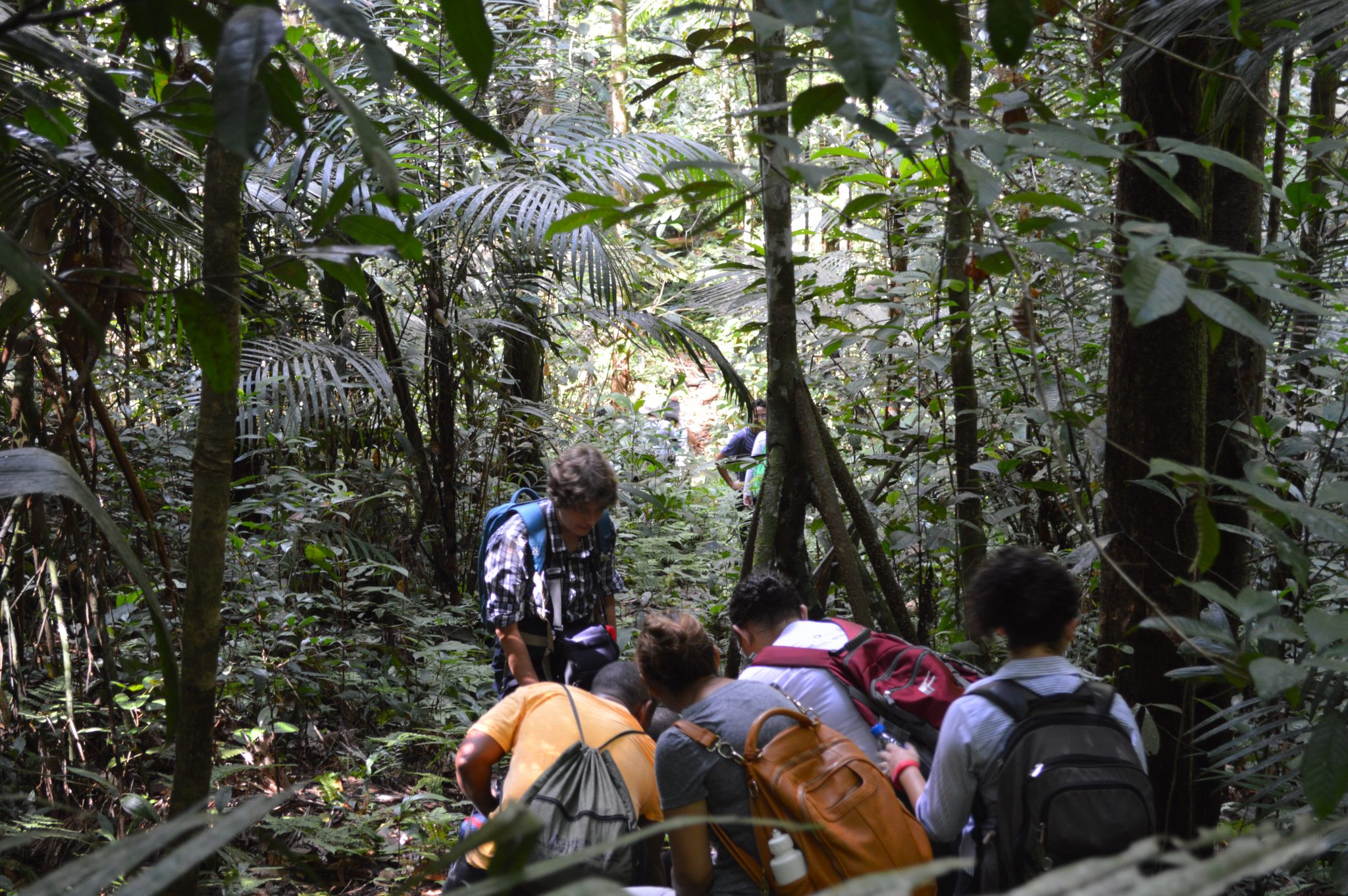 Collaborations | Amazon Research Team