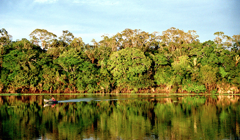 Research | Amazon Research Team