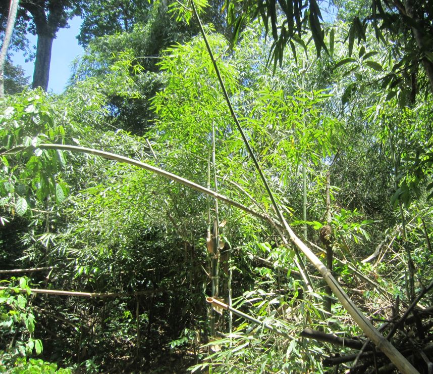 Research | Amazon Research Team