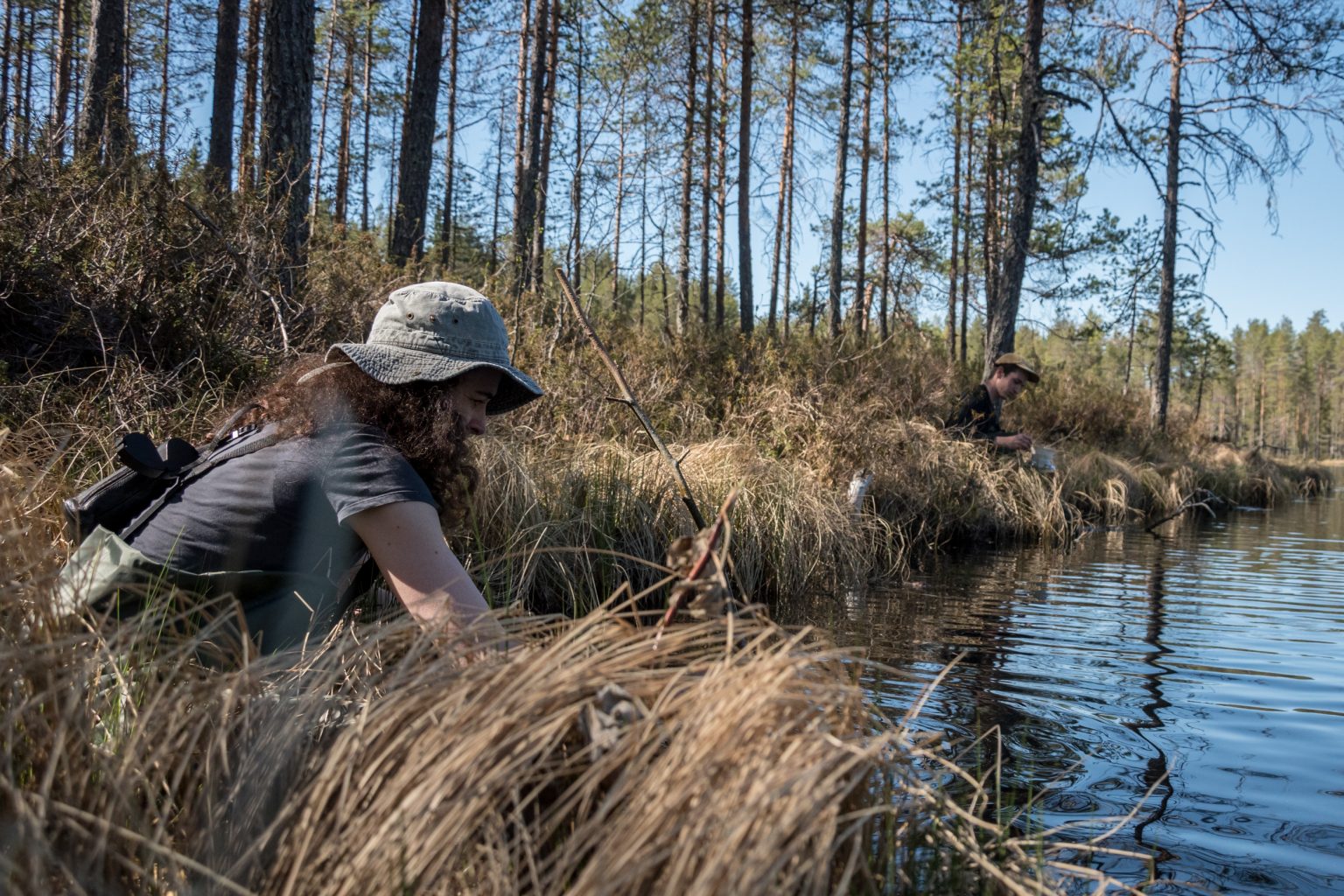 Research projects | Arzelgroup