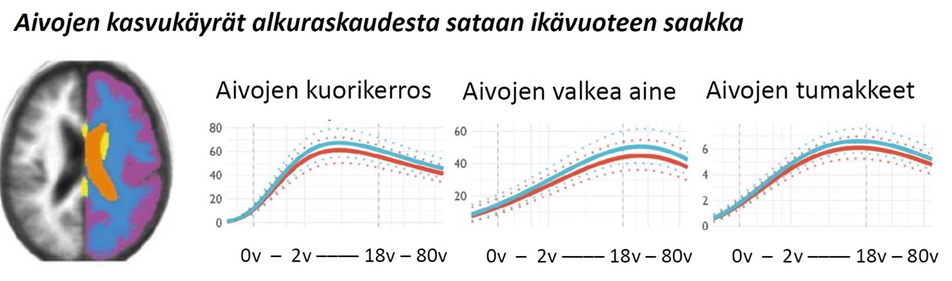 FinnBrain-aivokuvantamisosatutkimus ylpeänä mukana luomassa ensimmäisiä ...