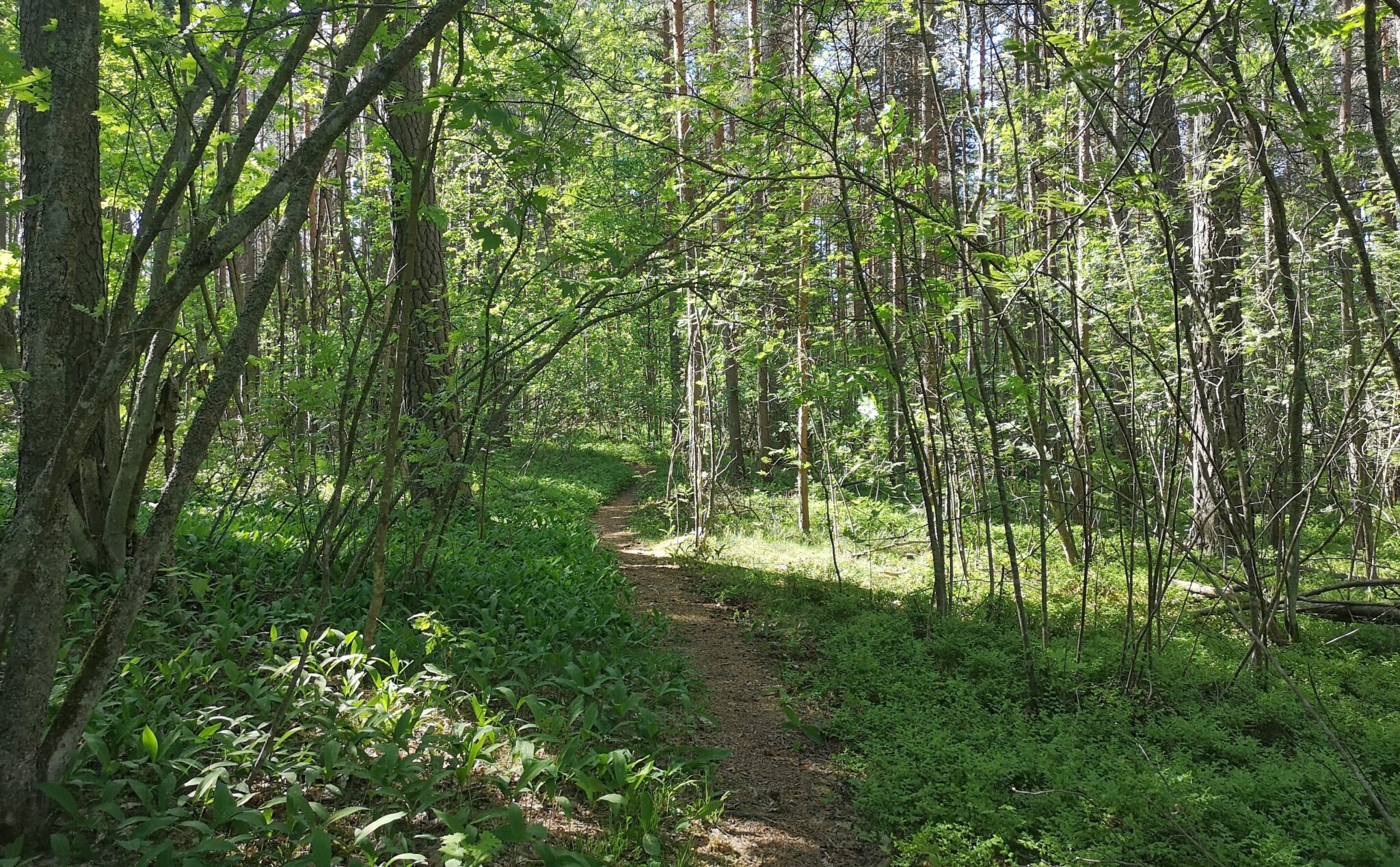 The construction of an ecosocial niche in the era of nature-positive ...