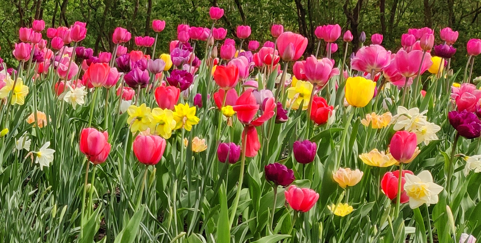 MetaFerm explores fermented plant-based food solutions | NordicFOOD