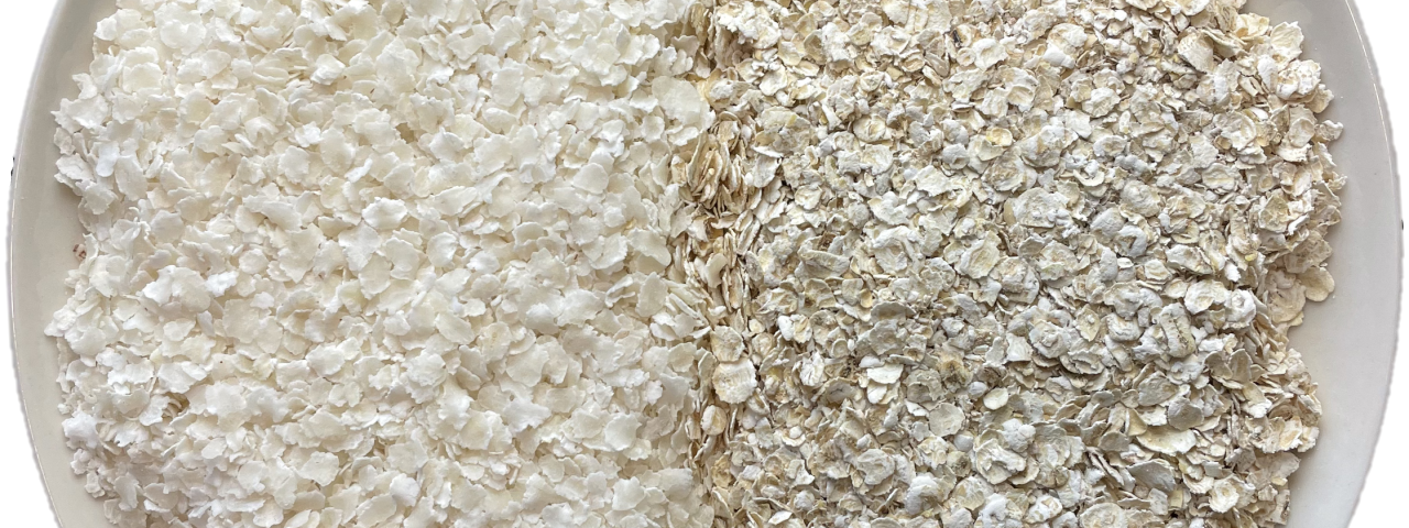 OAT-GUT-BRAIN-tutkimus | Oat-Gut-Brain