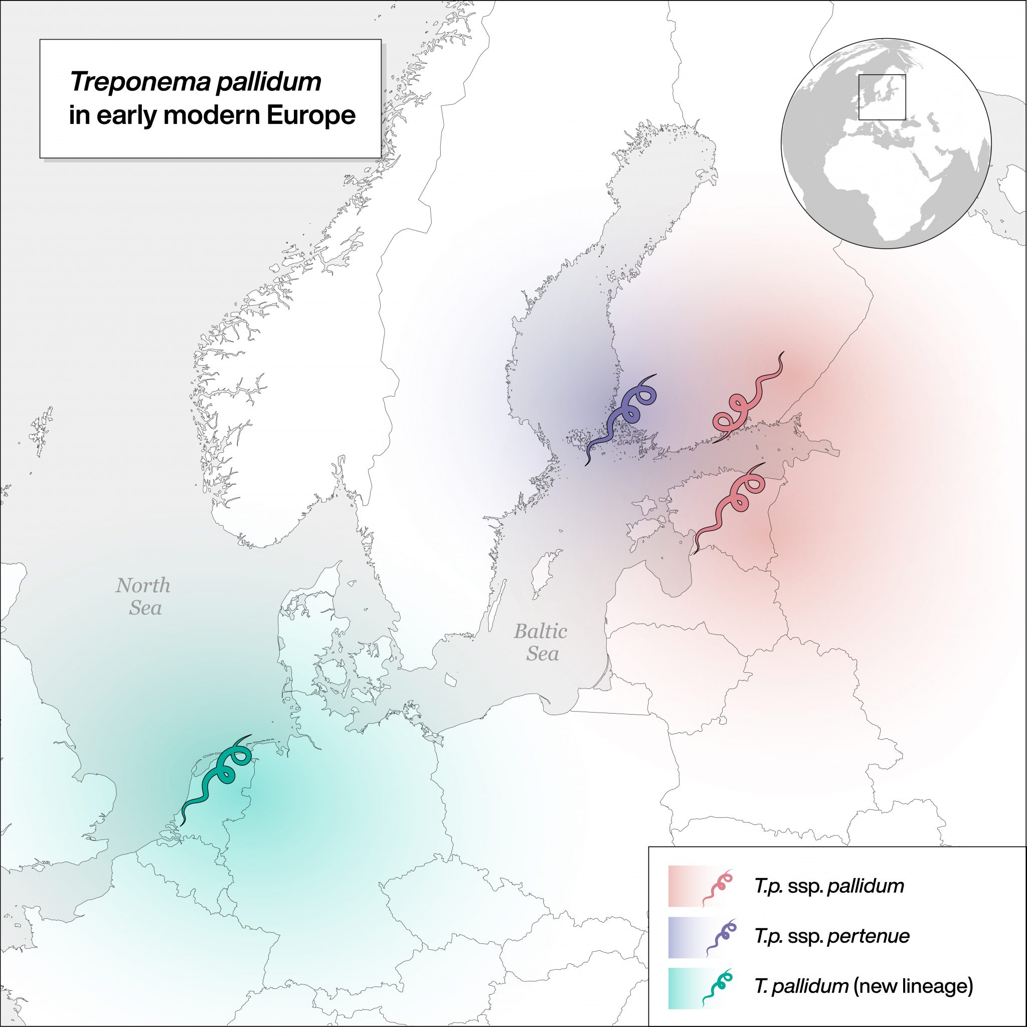 Syphilis May Have Spread through Europe before Columbus (Press release ...