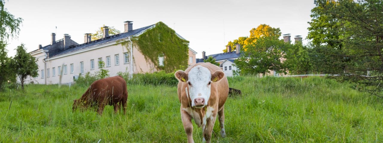 For visitors | Welcome to Seili | Archipelago Research Institute