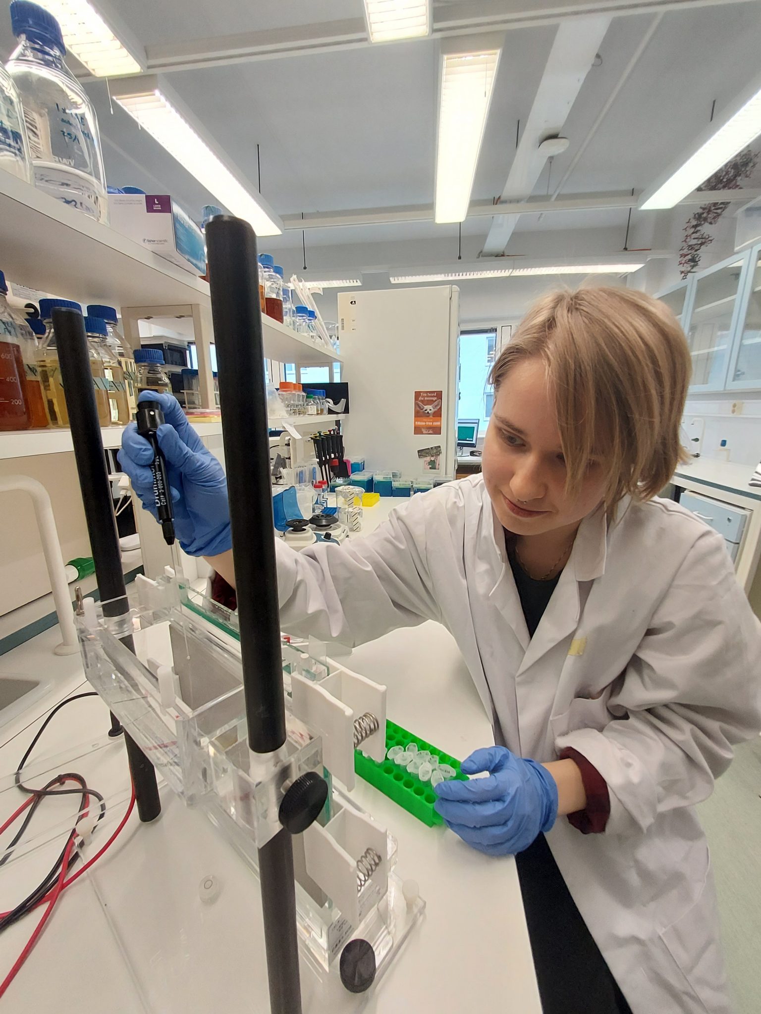 New lab member: Aada Välisaari | Turtola Lab | Fungal RNA Biology