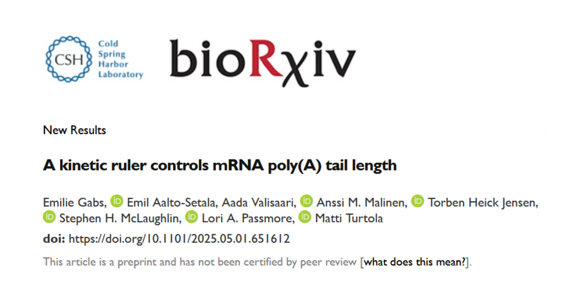 Pre-print: A kinetic ruler controls mRNA poly(A) tail length | Turtola Lab | Fungal RNA Biology