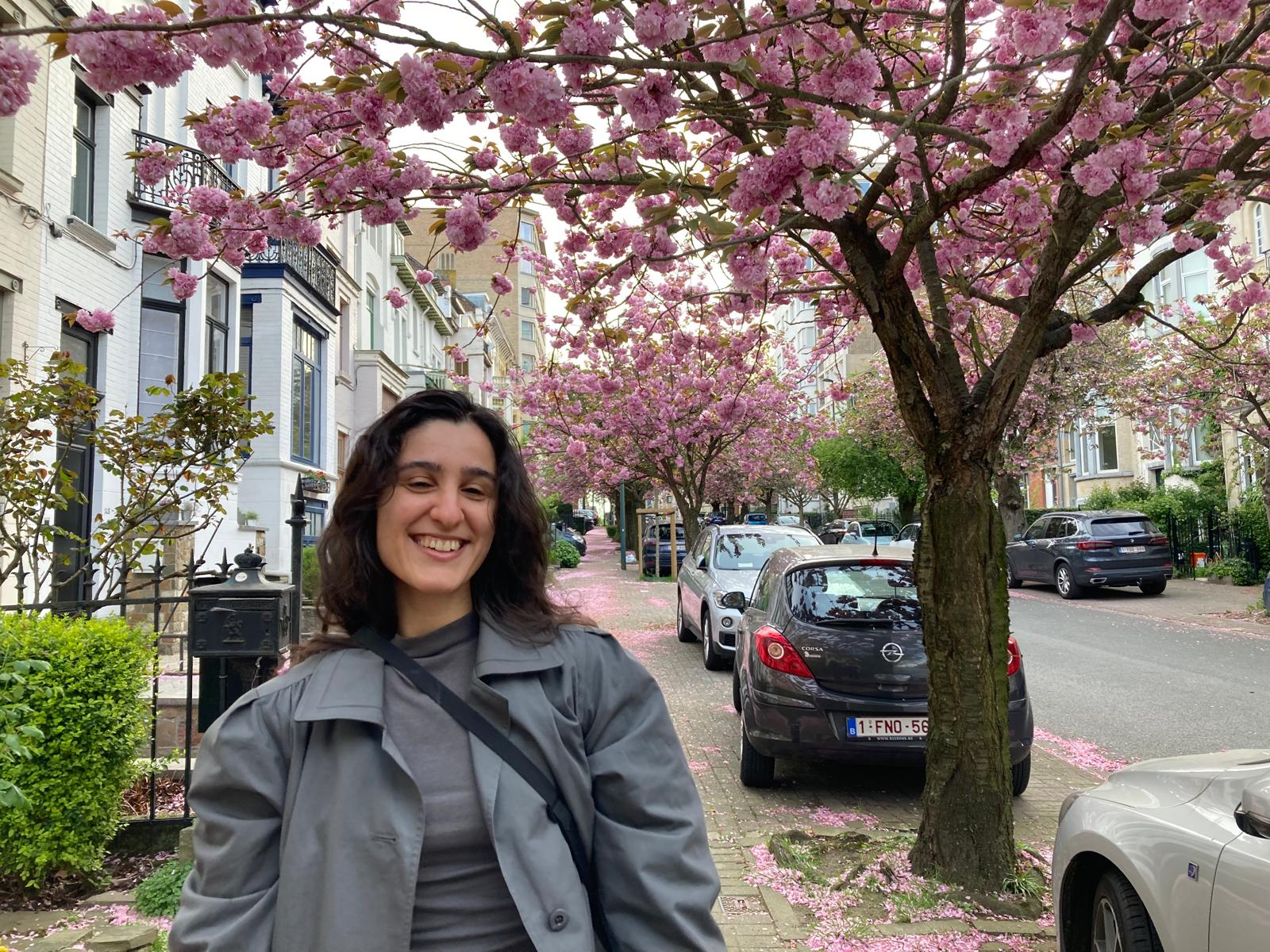 Green Transition or Green Conflict: Renewable energy and its ecological ...